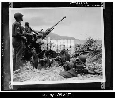 The crew of a Bofors anti-aircraft gun view vapour trails in the sky ...