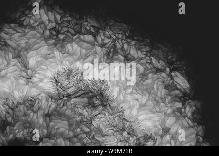 Variety of structure and texture of mineral stone, backlit background ...