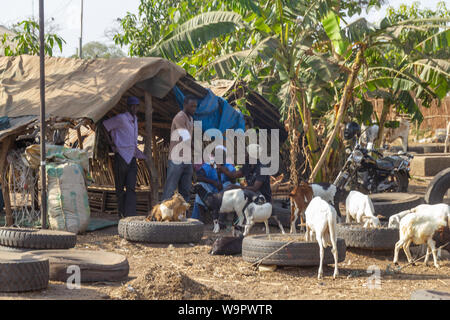 Serekunda market, Gambia Stock Photo - Alamy