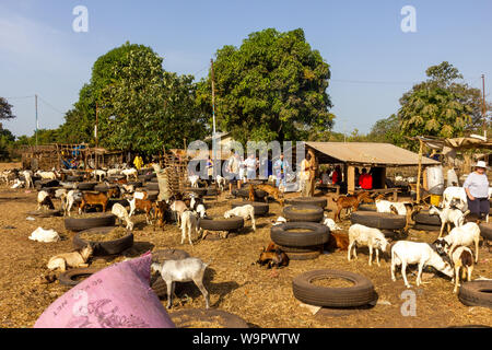 Serekunda market, Gambia Stock Photo - Alamy