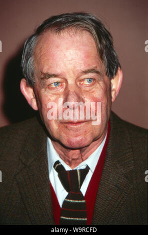 Siegfried Lenz, deutscher Schriftsteller, Deutschland um 1990 Stock ...