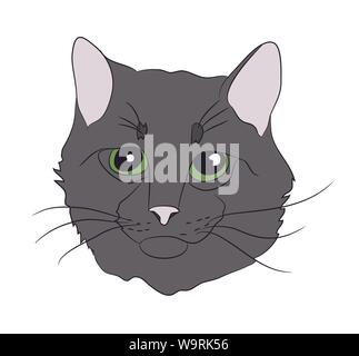 cat portrait, vector, white background, color drawing Stock Vector ...