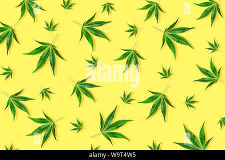cannabis oil on a light background. Selective focus. Nature Stock Photo ...