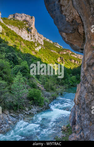 Long exposure of rapid stream flowing between green trees in forest ...
