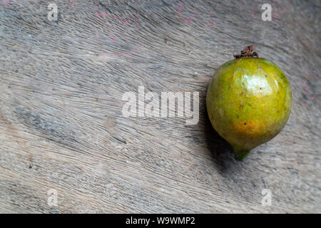 Macauba palm tree (Acrocomia aculeata), with fruits, seeds, Minas ...