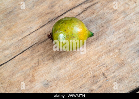 Close-up of exotic fruit Grugru nuts "Macauba" on wooden background ...