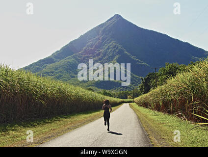 Walsh’s Pyramid south of Cairns is a spectacular 922m tall freestanding ...