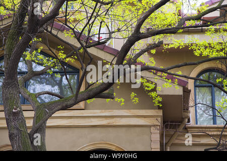 The eight light spring scenery Stock Photo - Alamy