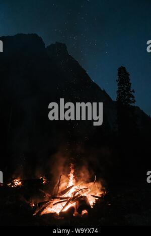Trees are burning during a forest fire on 1 July 2026 in Leciñena ...