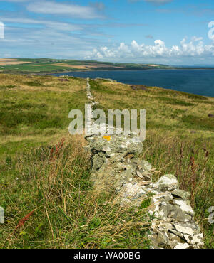 Mull of Galloway dry stone wall with lichen at Scotlands most southerly ...