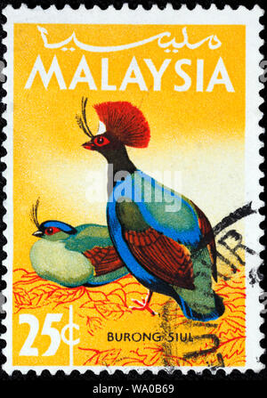 Crested wood-partridge, Rollulus rouloul. Near threatened. Illustration ...