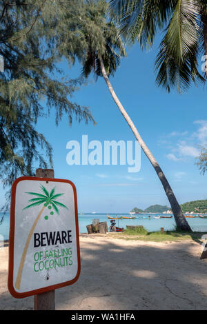 Unusual beware falling coconuts sign White Beach Boracay Philippines ...