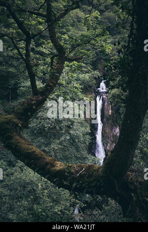 The Waterfalls at Devil's Bridge Falls, Pontarfynach, Wales framed by ...