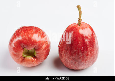 red rose apple or bell fruit on white background healthy rose apple ...