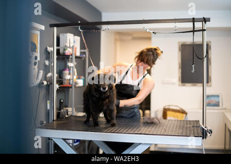 Hipster black female on small street in Florence Italy posing for a ...