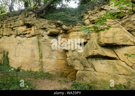 Face carved into Barnburgh crags limestone cliff, Barnburgh, Doncaster ...