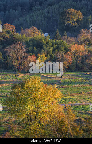 Anhui tower of sichuan Stock Photo - Alamy