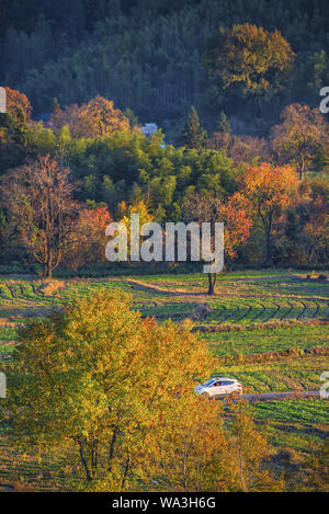 Anhui tower of sichuan Stock Photo - Alamy