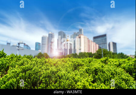 High-rise buildings near the lawn, Wuhan, China Stock Photo - Alamy