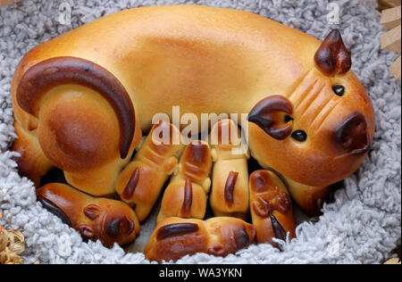 Piglet in basket, close up Stock Photo - Alamy