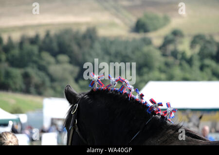 Peebles, UK. 17th Aug, 2019. Peebles, Scotland - August 17 ...