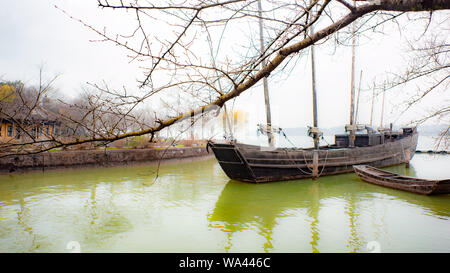 The turtle head isle of taihu lake cherry blossom Stock Photo - Alamy