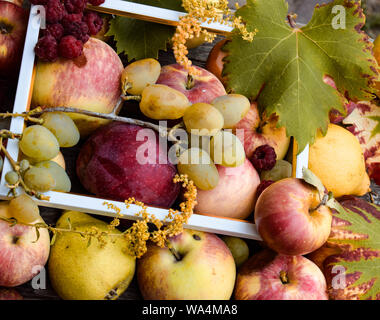 Apples, pears, red raspberries and white grapes on a wooden background ...