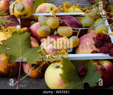 Apples, pears, red raspberries and white grapes on a wooden background ...