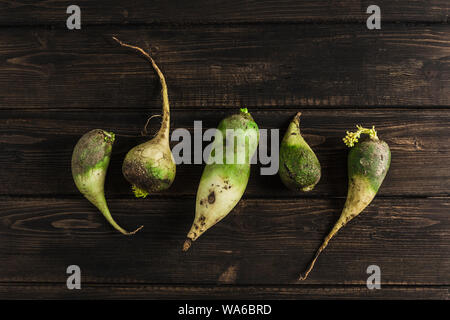 Ugly vegetable green radish with sprouts on a dark wooden natural ...