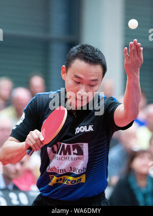 Xi Wang (Gruenwettersbach) in action. GES / Table Tennis / 1st ...