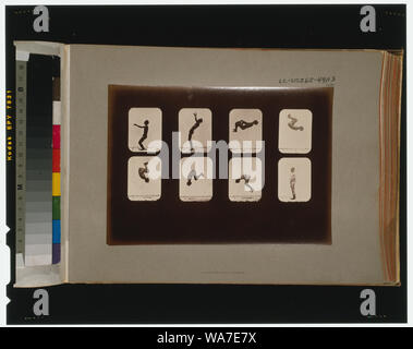 Athletes. Back summersault Stock Photo - Alamy