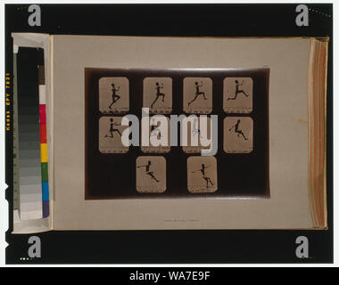 Athletes. Running long leap Stock Photo - Alamy