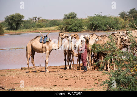 Niger, West Africa. Rainy Season in the Sahel. Compare to Dry Season in ...