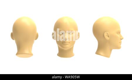 3d rendering of the top section of a human 3d model isolated in white ...