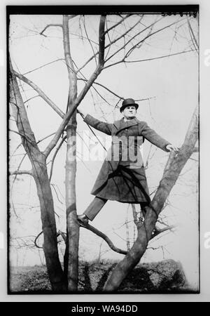 Chamlee (in tree Stock Photo - Alamy