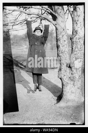 Chamlee (hanging from tree Stock Photo - Alamy