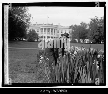 Chas. Lee Patten Stock Photo - Alamy