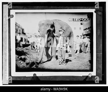 American film comedian Chester Conklin and vintage Sennett beauties ...