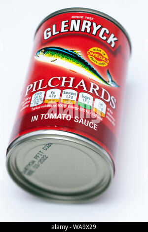 Pilchards tin fish tinned Glenryck pacific in tomato sauce cut out ...