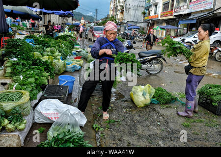 Red Hat Miao women in traditional costume embroidering, Longliang ...