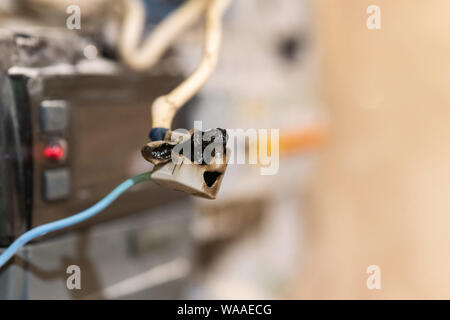 Burned wire, splicing connector, electrical terminal block of ...