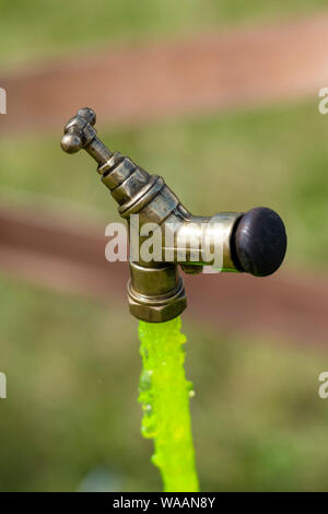 an old fashioned style of brass water tap outside oudoors running ...