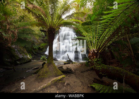 The world famous Henderson Falls, near Lorne, Victoria, Australia Stock ...