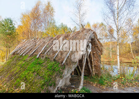 Stone Age hut of reeds in the woods Stock Photo - Alamy