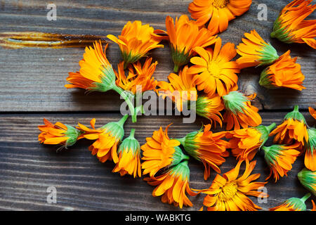 Calendula flowers laid out on a wooden background. Calendula ...