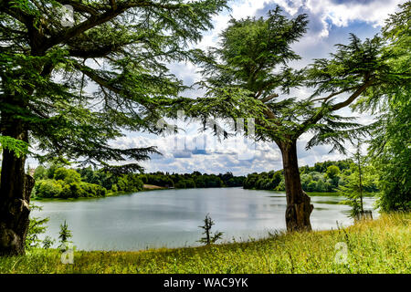 Blenheim Palace grounds and parks. River Glyme and established trees at ...