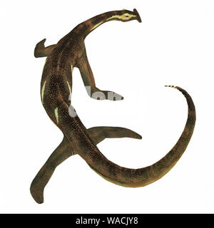Atopodentatus was a herbivorous semi-aquatic marine reptile that lived ...