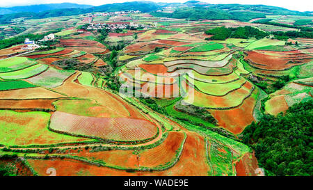 Landscape of the multicolored Dongchuan Red Land in Huashitou village ...