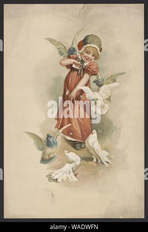 Doves / by A. Miessner Stock Photo - Alamy