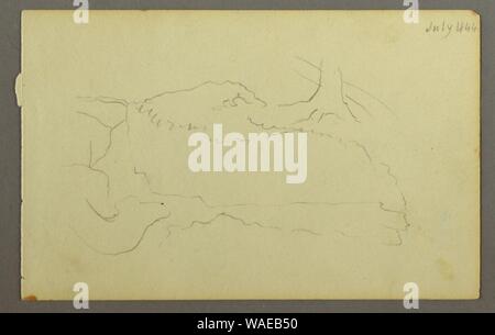 Drawing, Base of a tree, boulders, 1844 Stock Photo - Alamy
